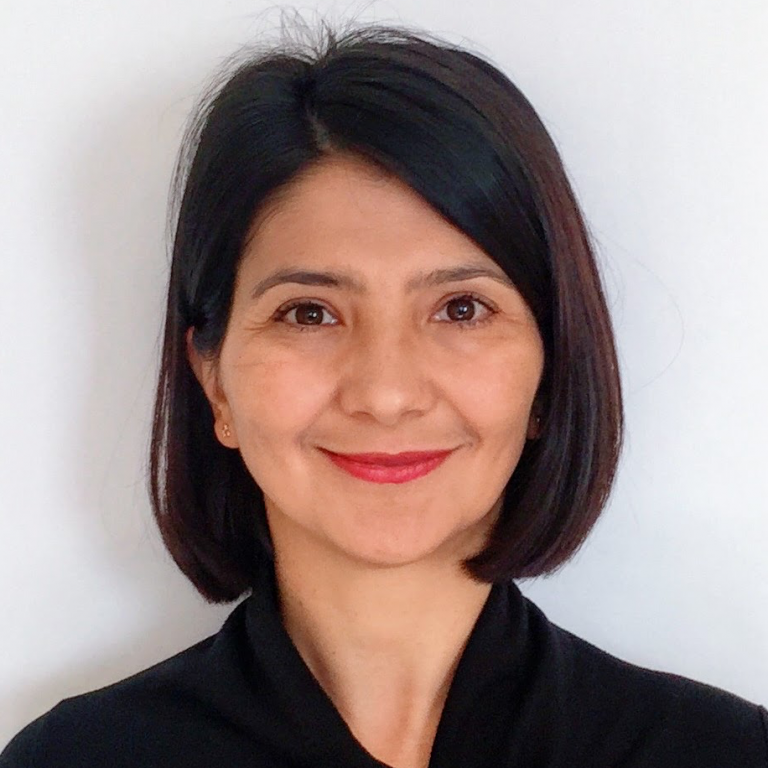 Alina Lungeanu – The Science of Networks in Communities (SONIC)